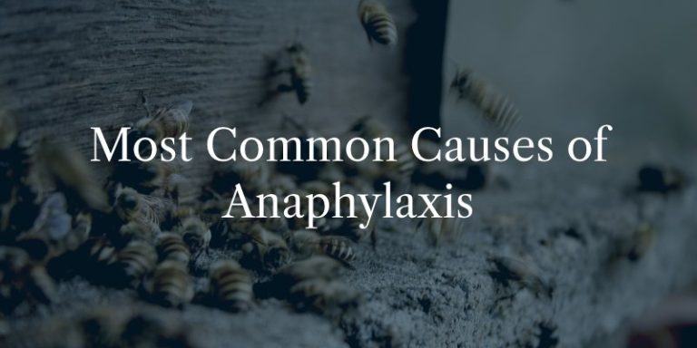 What Are the Four Most Common Causes of Anaphylaxis?